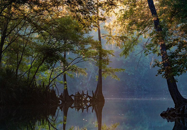 Creative Wild Captures – Audiovisual production company